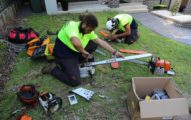 Tree Removal Sutherland Shire | Tree Pruning | Tree Lopping Sutherland