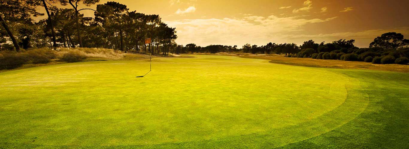 Golf Course Tree Removal | Tree Lopping | Arborist Service | Tree Pruning