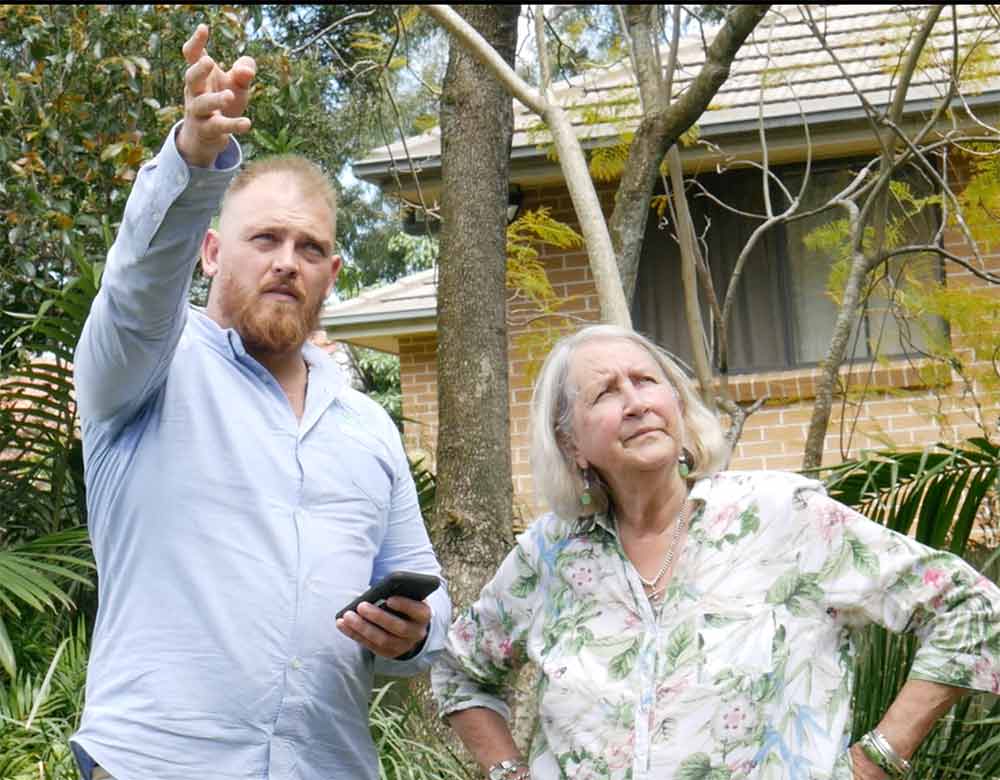 Tree Removal Southern Highlands - Tree Lopping & Pruning - Arborists